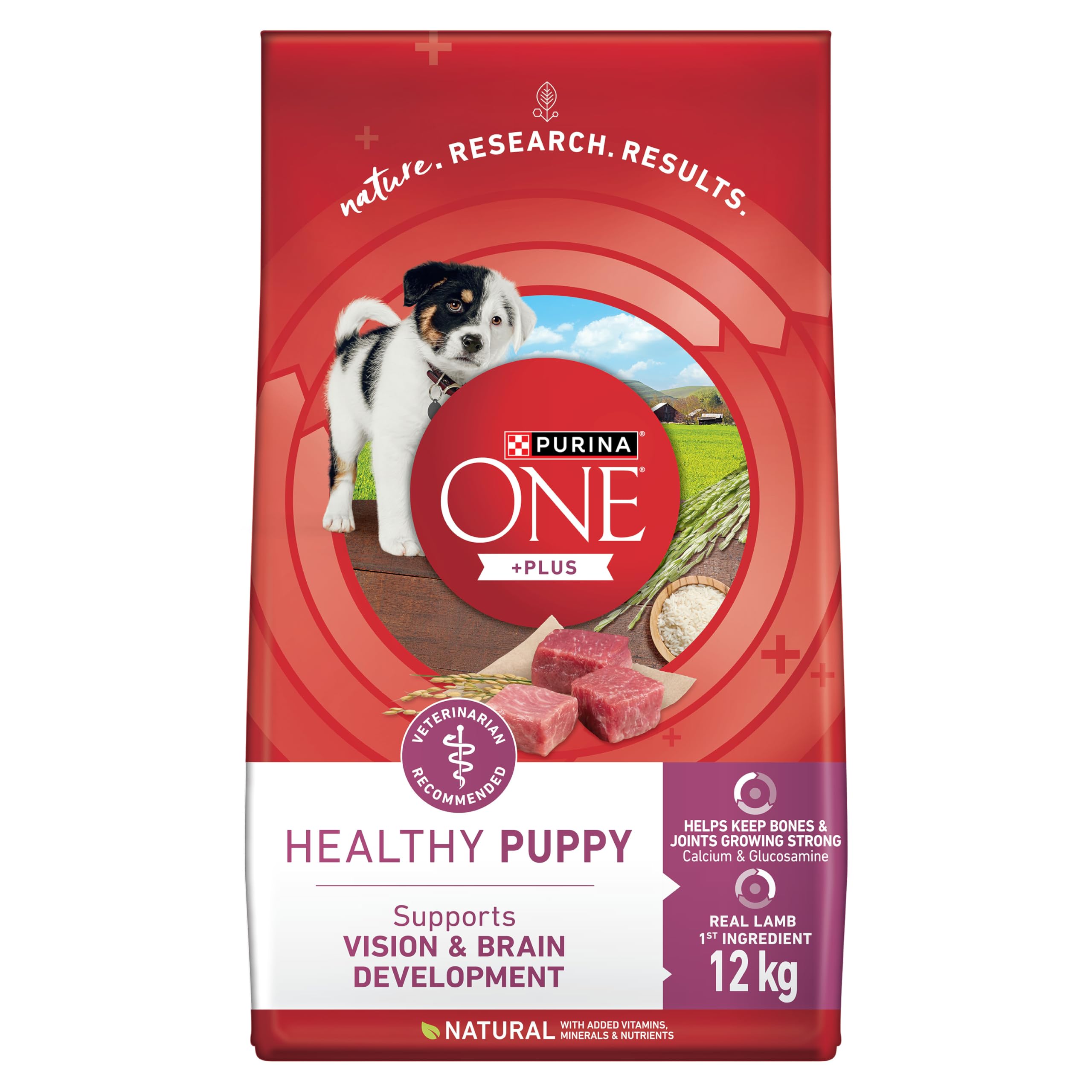 Purina ONE +Plus Dry Puppy Food with Lamb - 12 kg Bag : Amazon.ca: Pet ...