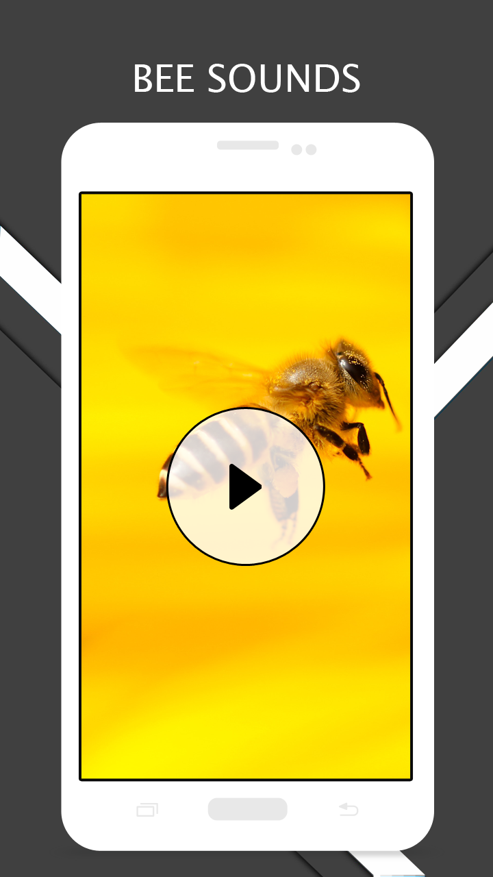 Bee Sounds - App on Amazon Appstore