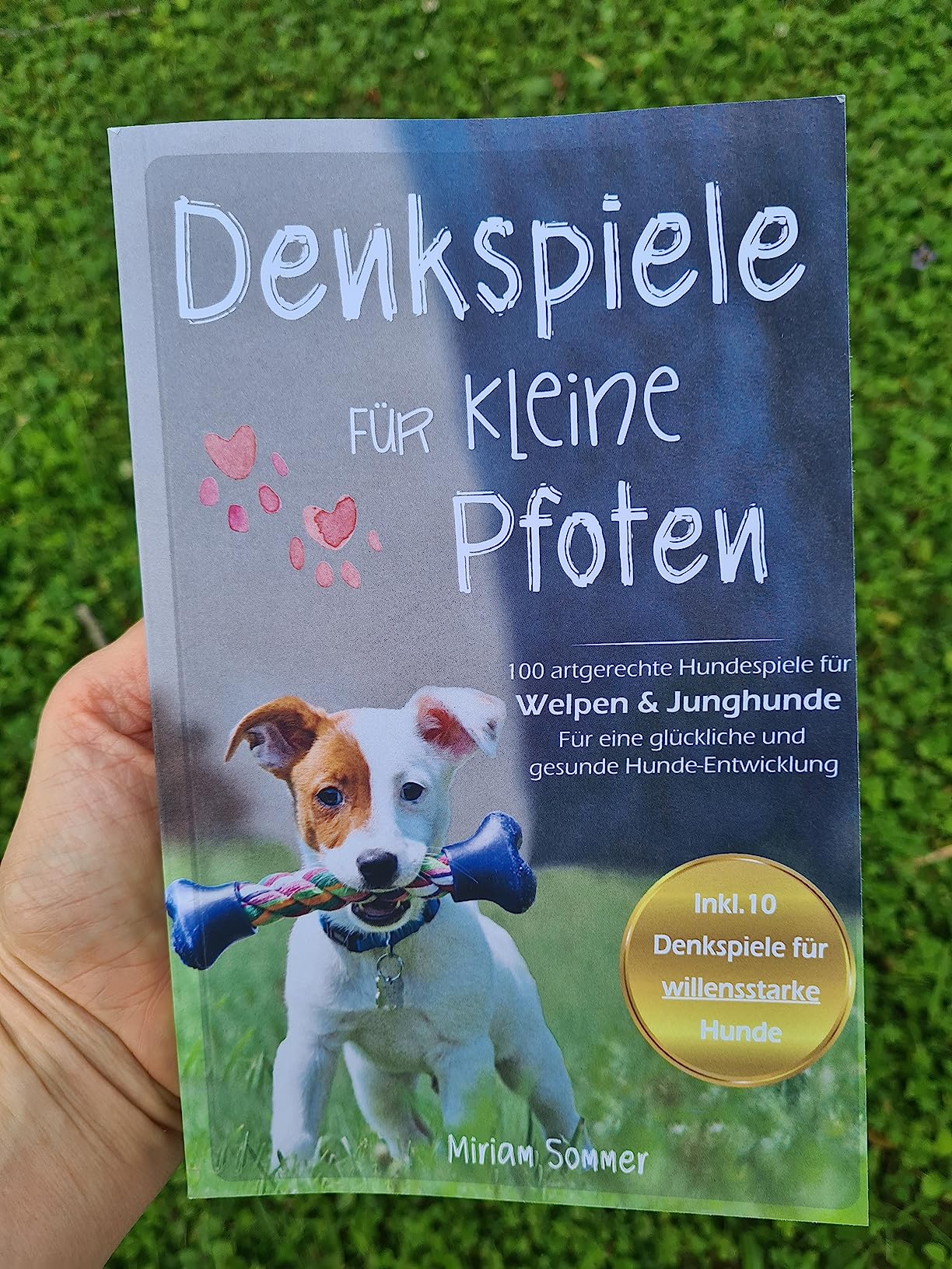 Denkspiele für kleine Pfoten: 100+ artgerechte Hundespiele für Welpen ...