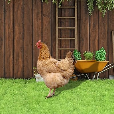 Design Toscano Henrietta Hen Statue, Multicolored : Amazon.ca: Patio ...