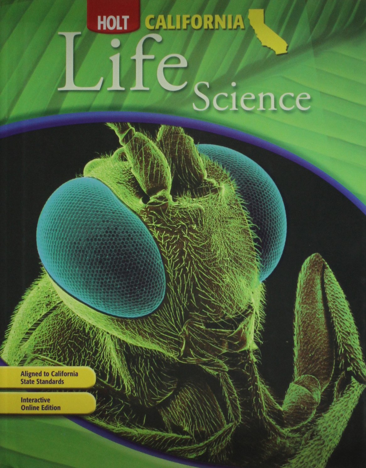 Physical Science Textbook 8th Grade Holt
