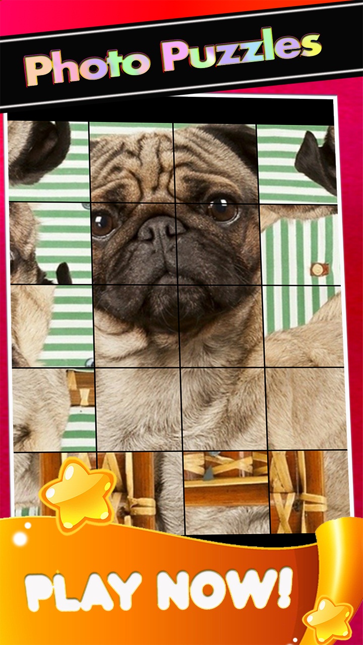 Pugs Pictures-The Cute Pug Puzzle Game - App on Amazon Appstore