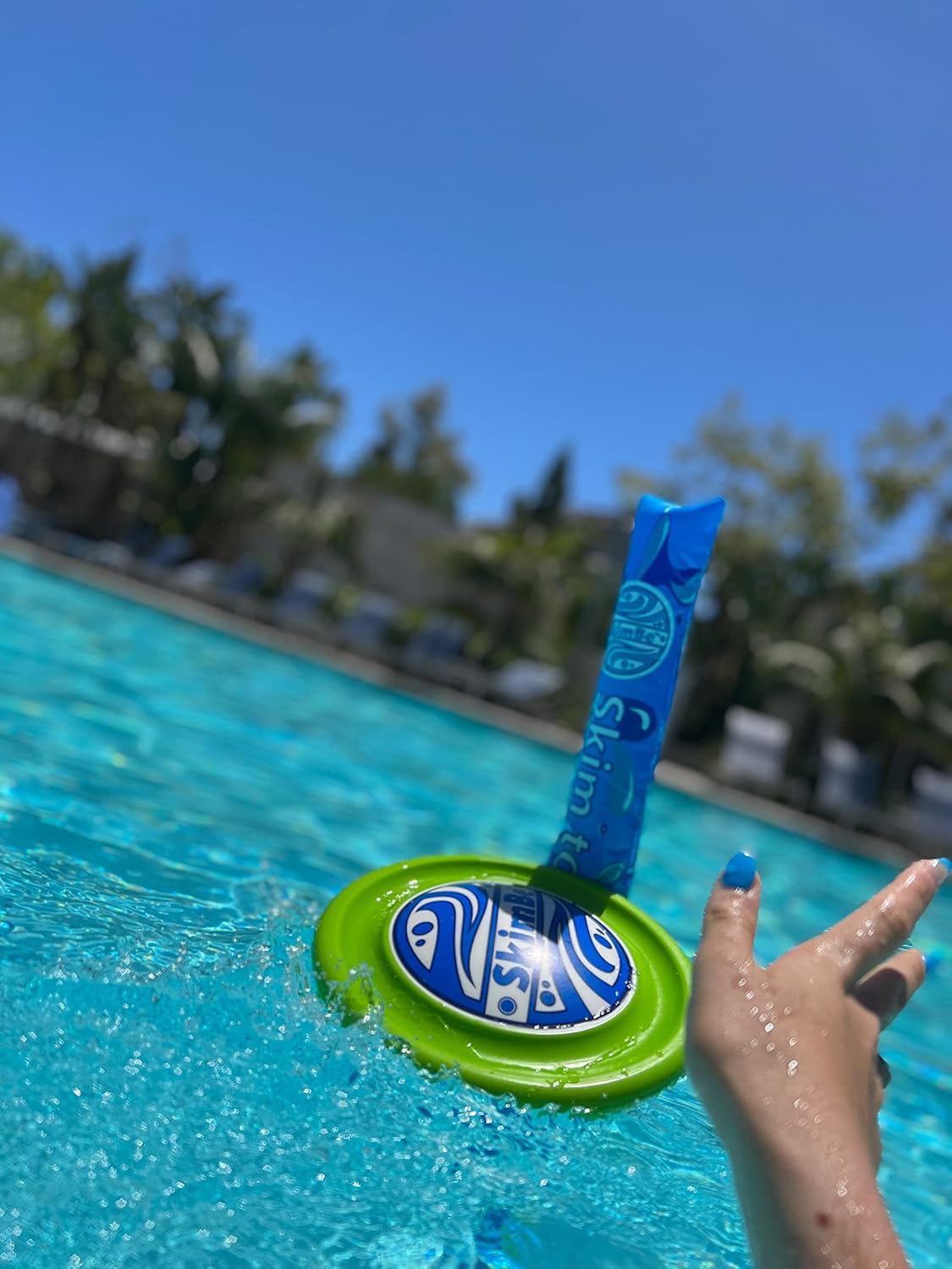 Amazon.com: Skim to The Pin Pool Disc Game : Toys & Games