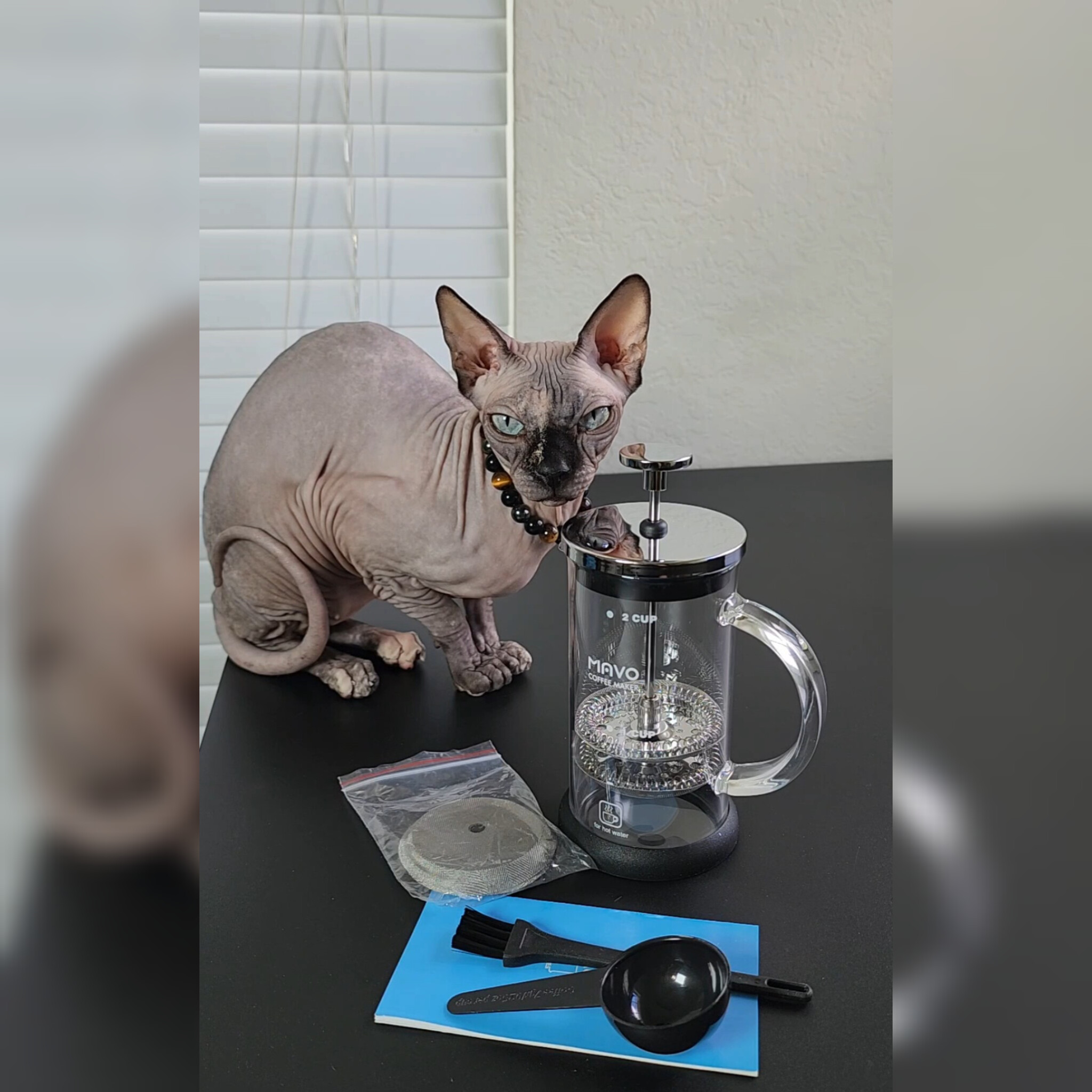 Watch French Press Coffee Maker on Amazon Live