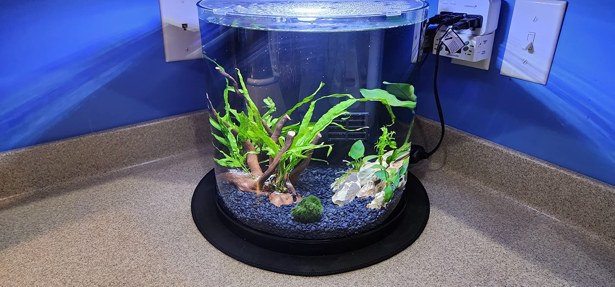 $17/mo - Finance Aquatop Pisces Bullet Shaped Glass Aquarium, 5 Gallons, 53GPH – Nano Aquarium ...