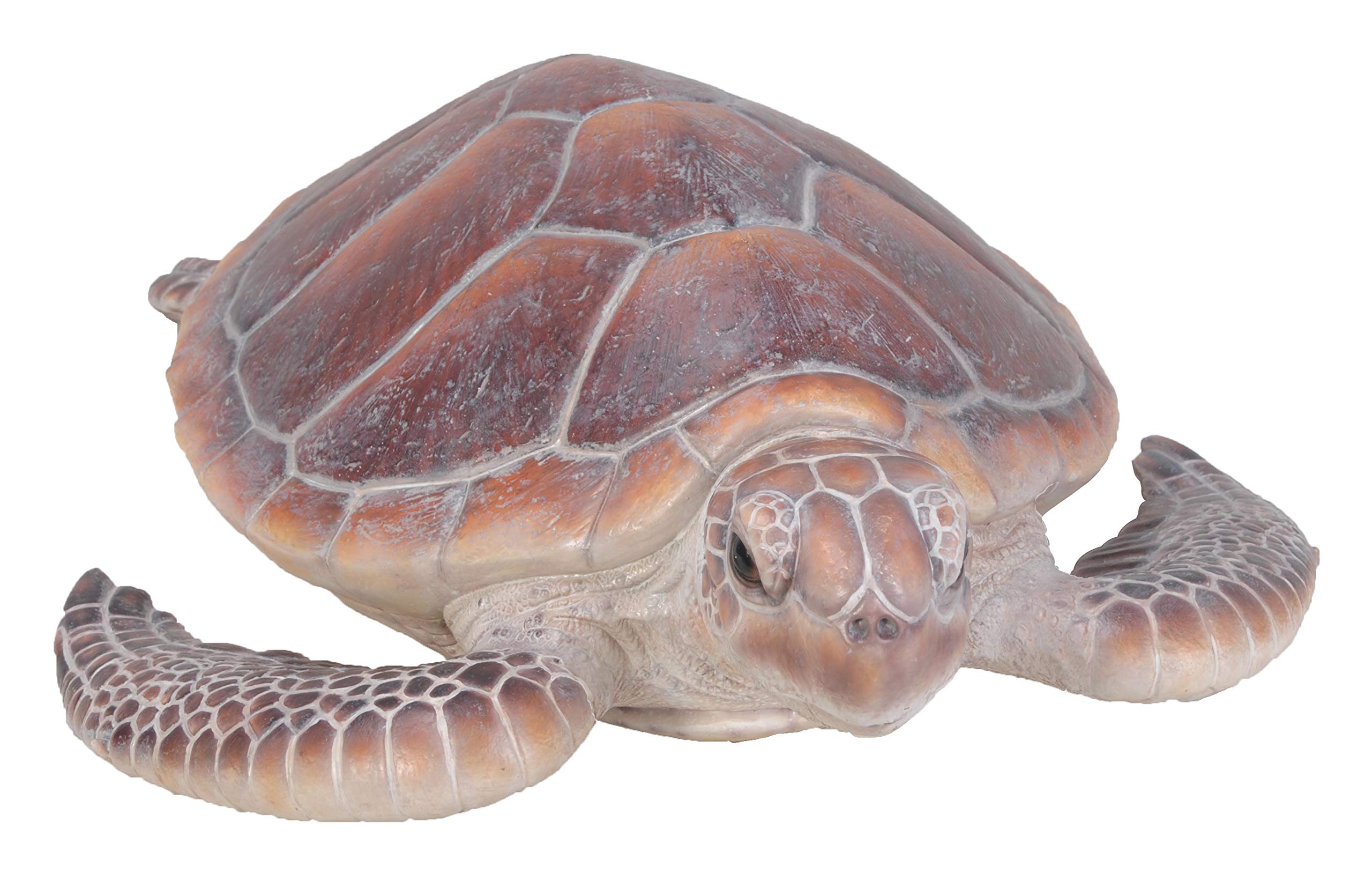 Amazon.com : Hi-Line Gift 87683-A Large Sea Turtle : Patio, Lawn & Garden