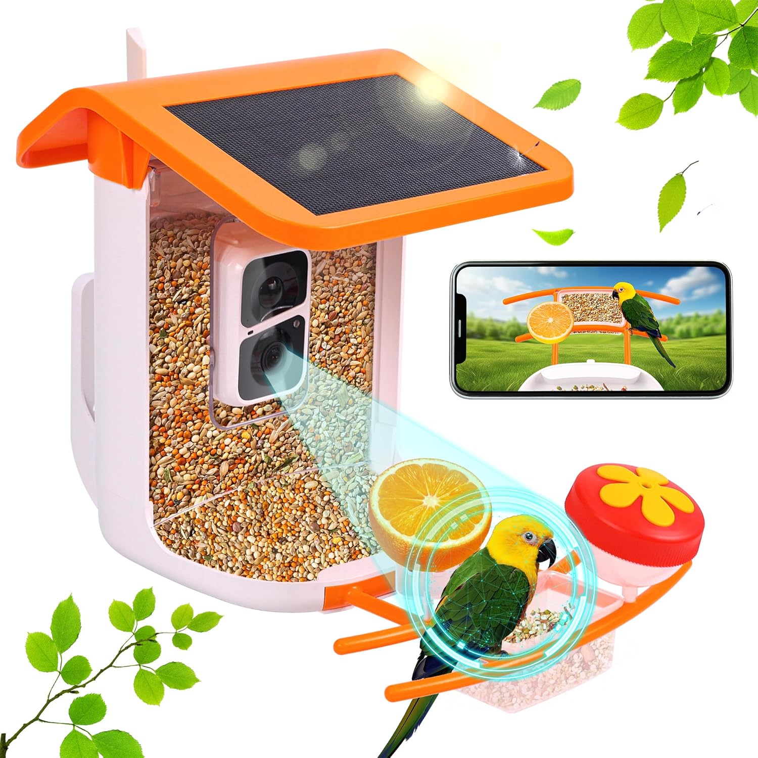 Amazon.com: Smart Bird Feeder with Camera, 2K HD AI Identify Bird ...