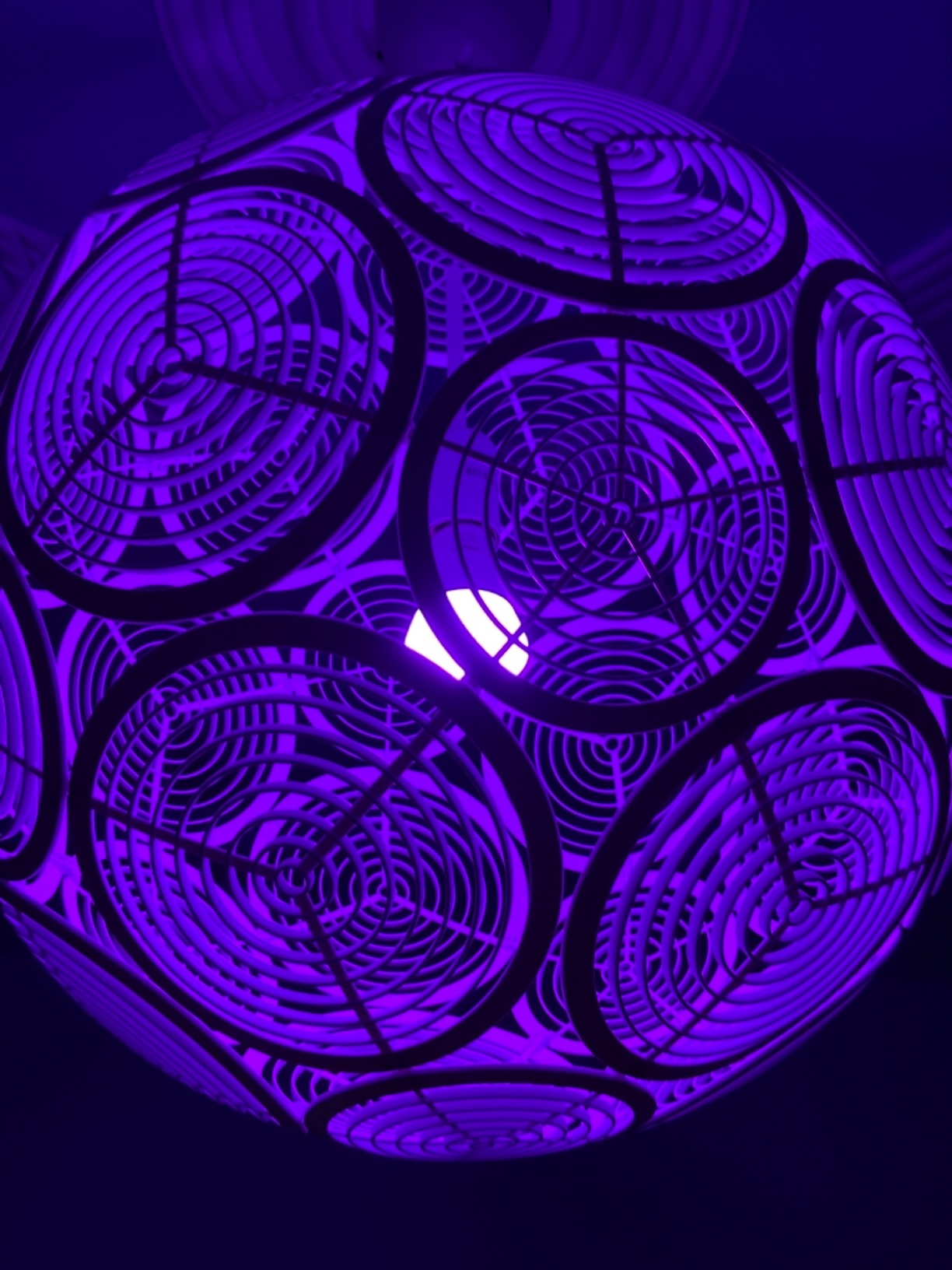 Buy PHILIPS 60 Watts E27 LED White Ring Light (4091331PN) Online at Low ...