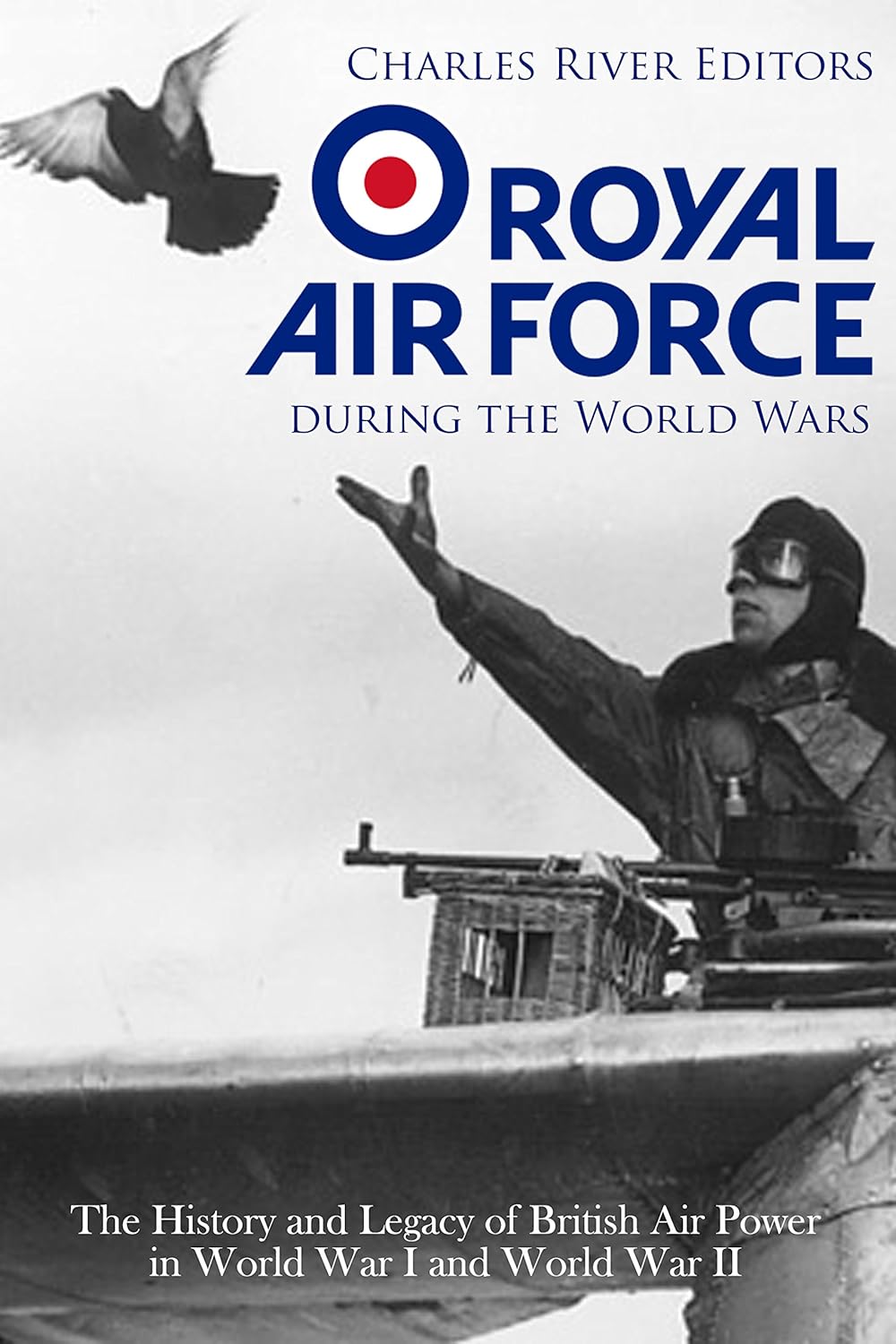Amazon.com: The Royal Air Force during the World Wars: The History and ...