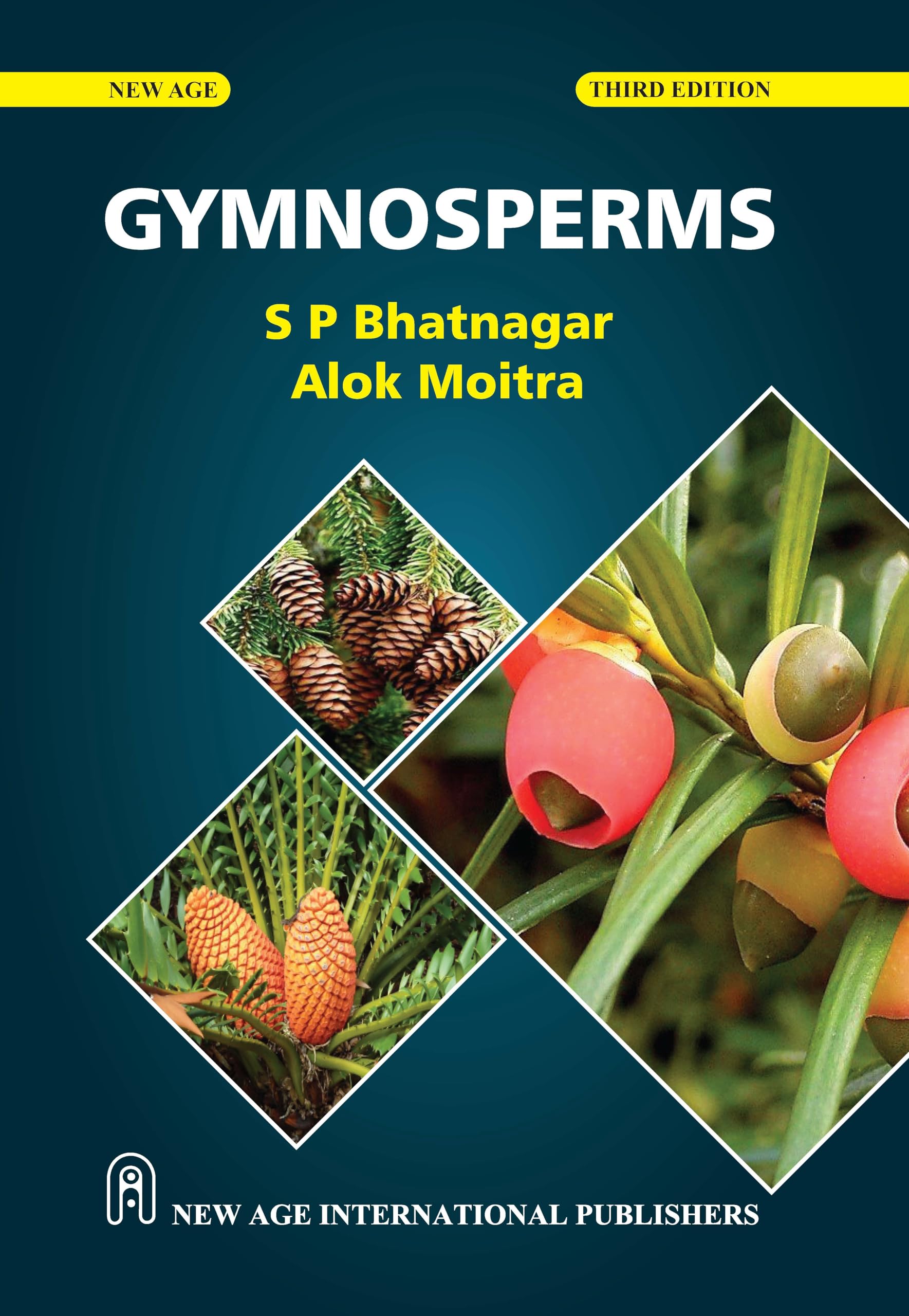 Gymnospermes