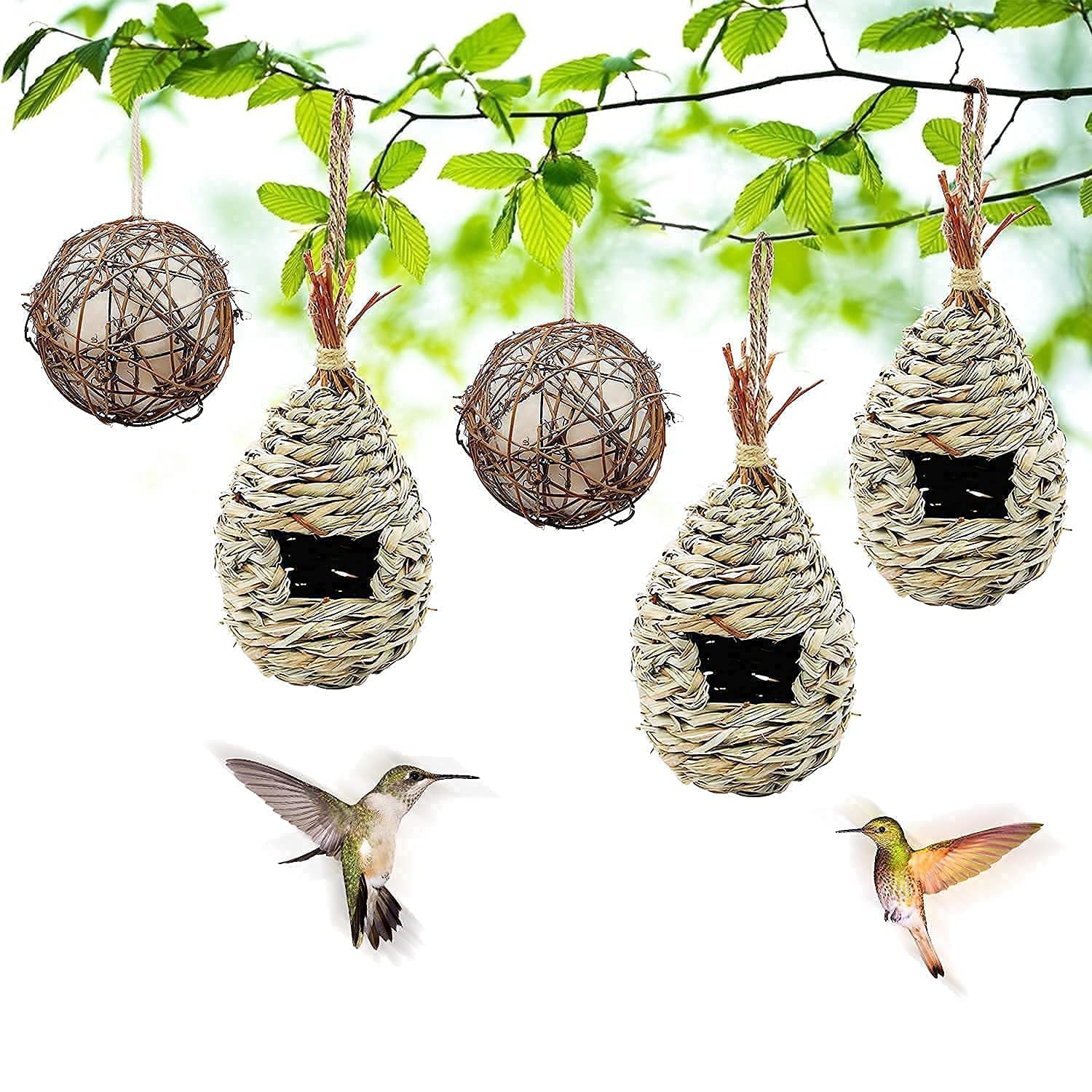 Hanging Hummingbird Nest