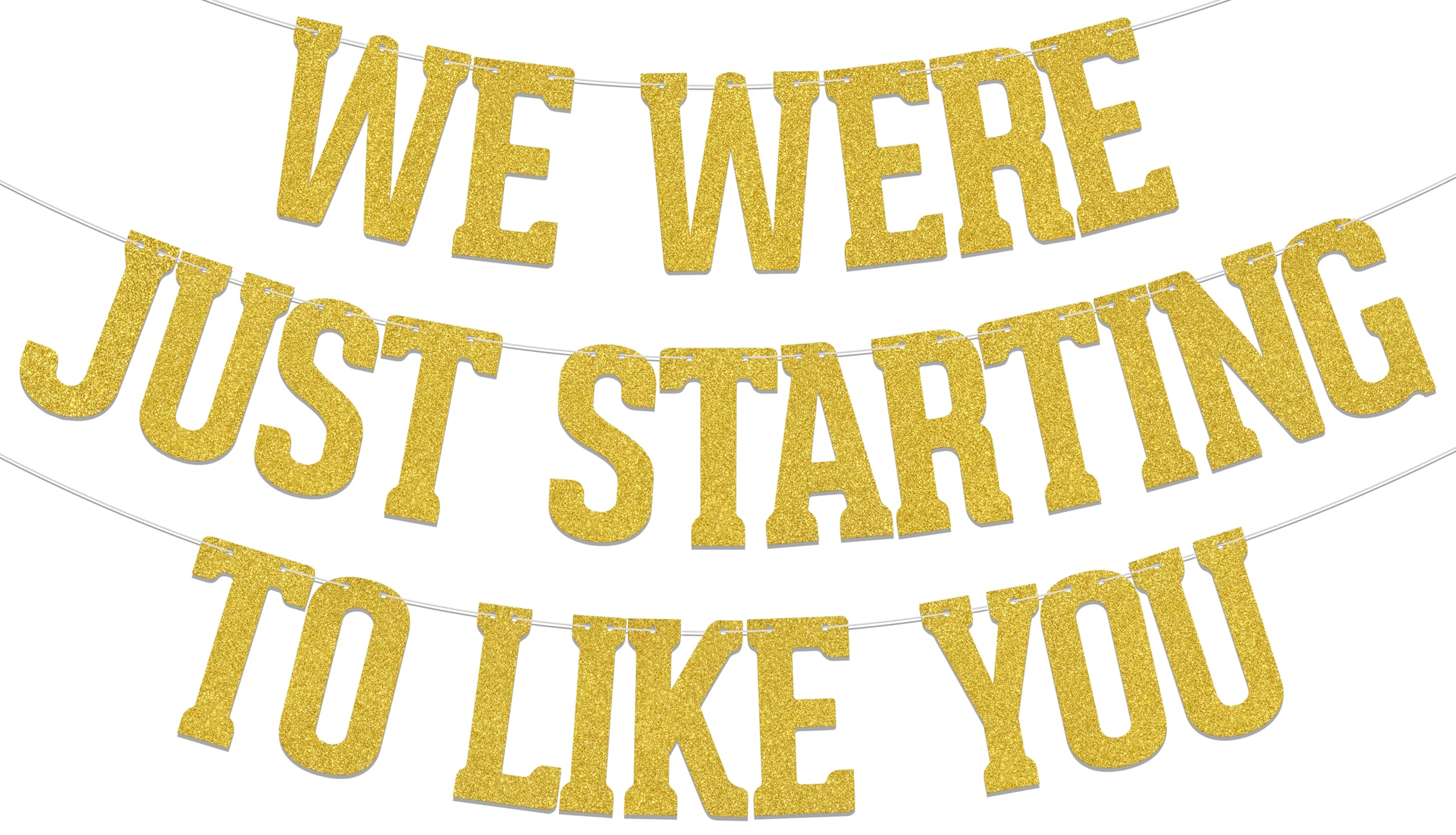 Amazon.com: We Were Just Starting To Like You Banner, Going Away Party ...