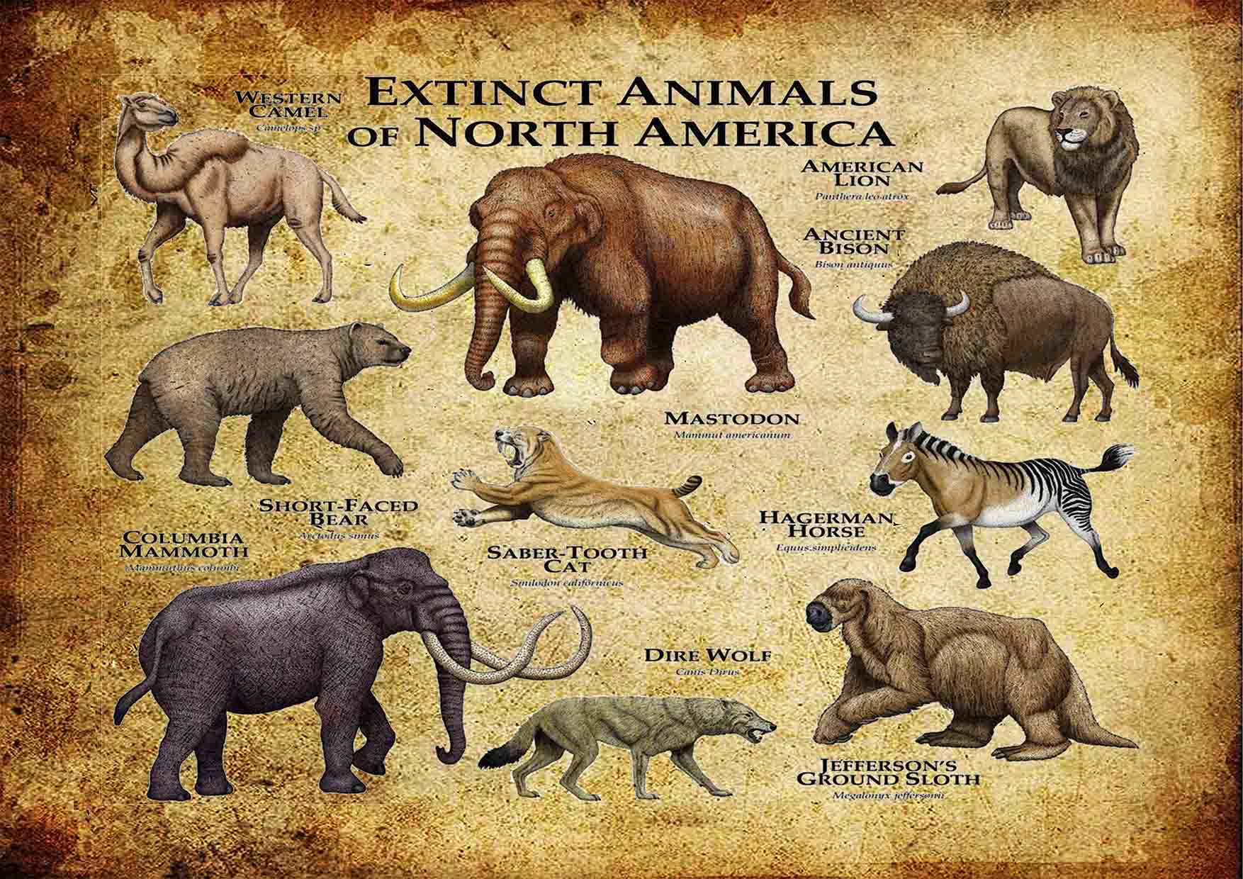 Animales Extintos En El Mundo