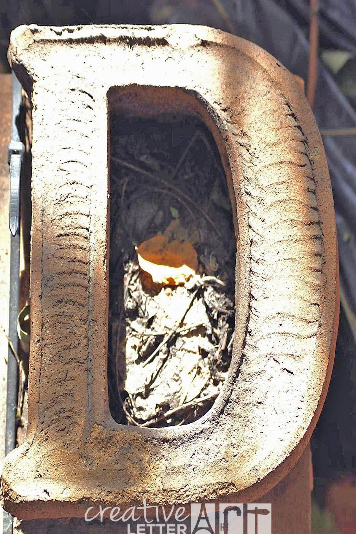 Letter D Images In Nature