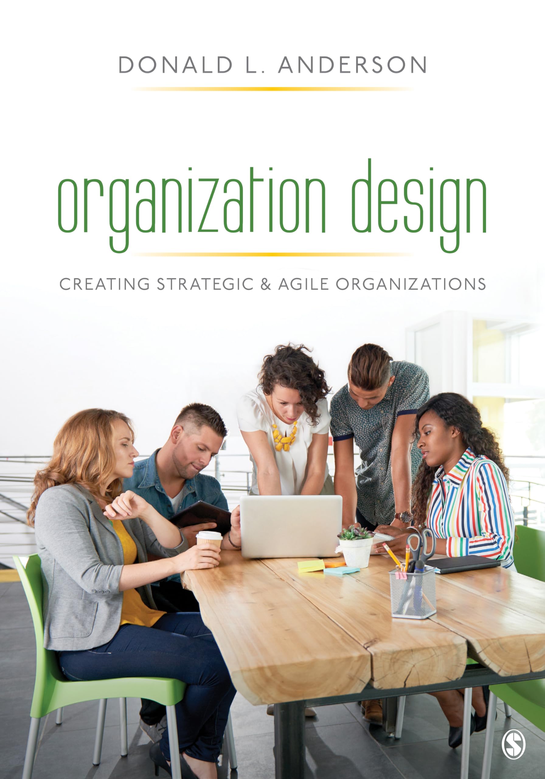 Organization Design: Creating Strategic & Agile Organizations ...