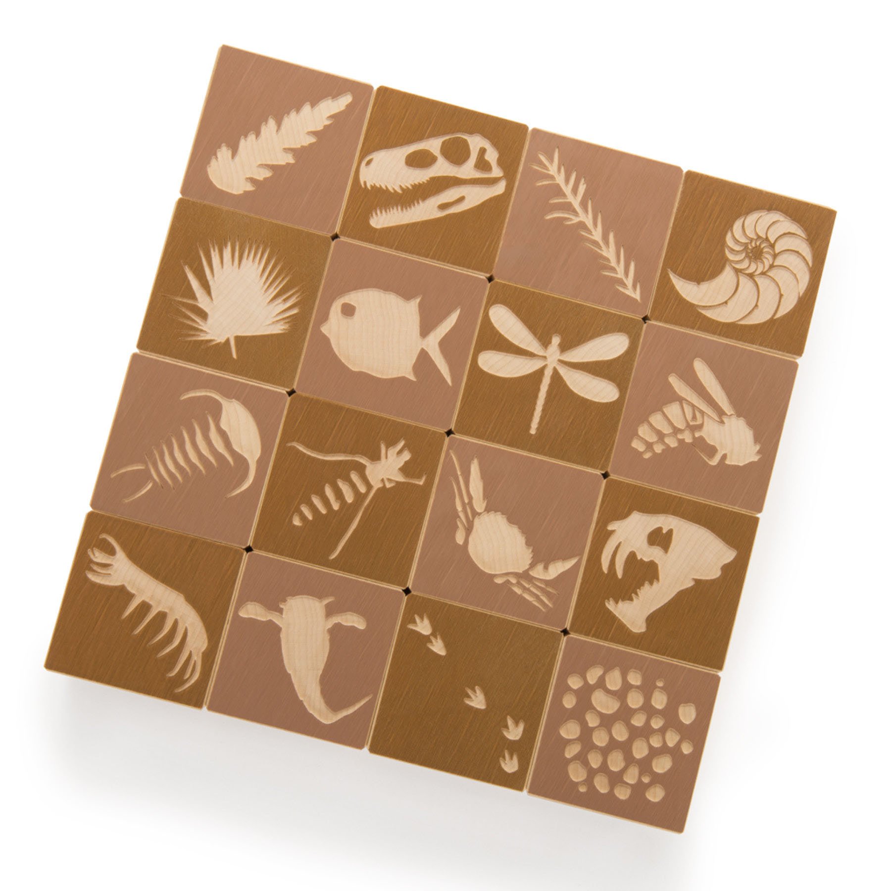 Amazon.com: Uncle Goose Fossil Blocks - Made in The USA : Toys & Games