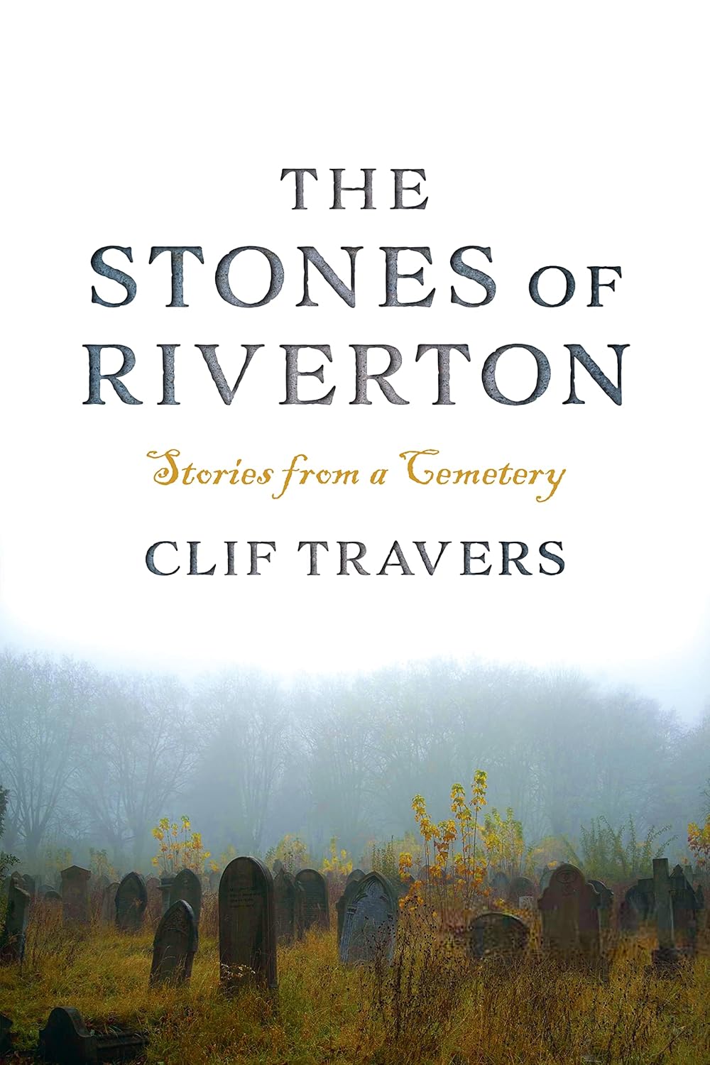 Amazon.com: The Stones of Riverton: 9781684751068: Travers, Clif: Books