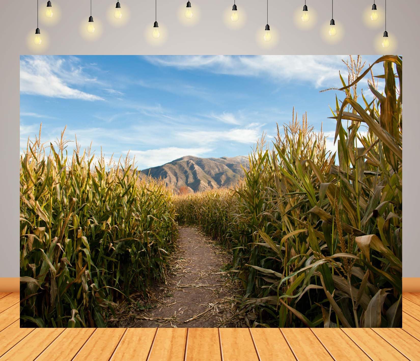 Amazon.com : BELECO 5x3ft Fabric Cornfield Backdrop Corn Maze with ...
