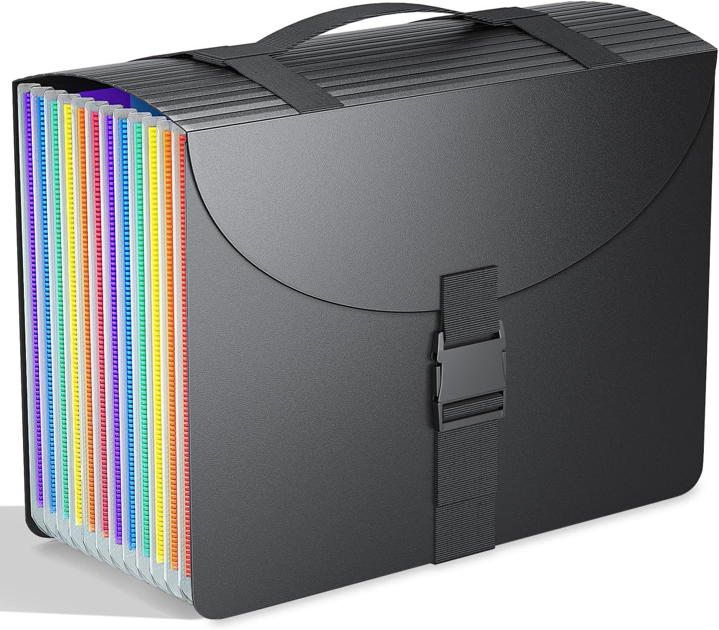 Amazon.com : TOPCJ Expanding File Folders with Handle,Accordion File ...