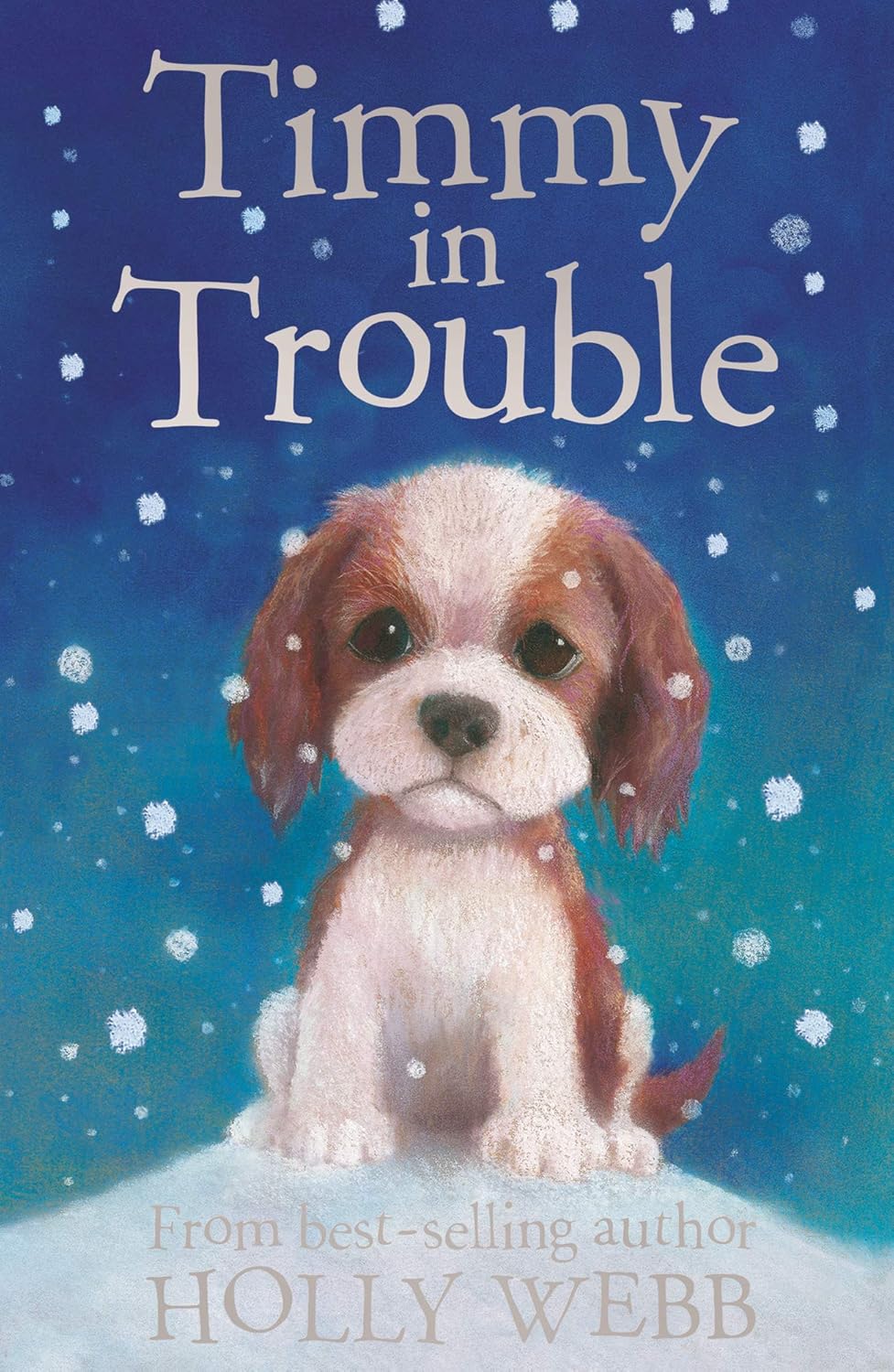 Timmy in Trouble (Holly Webb Animal Stories) Webb, Holly and Williams ...