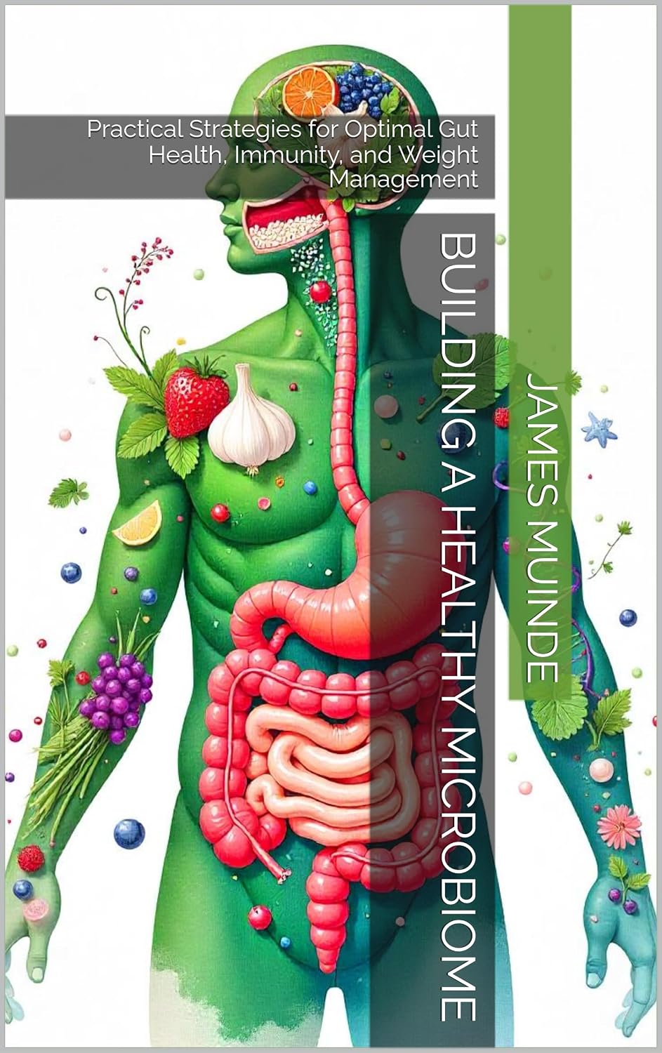 Amazon.com: Building a Healthy Microbiome: Practical Strategies for ...