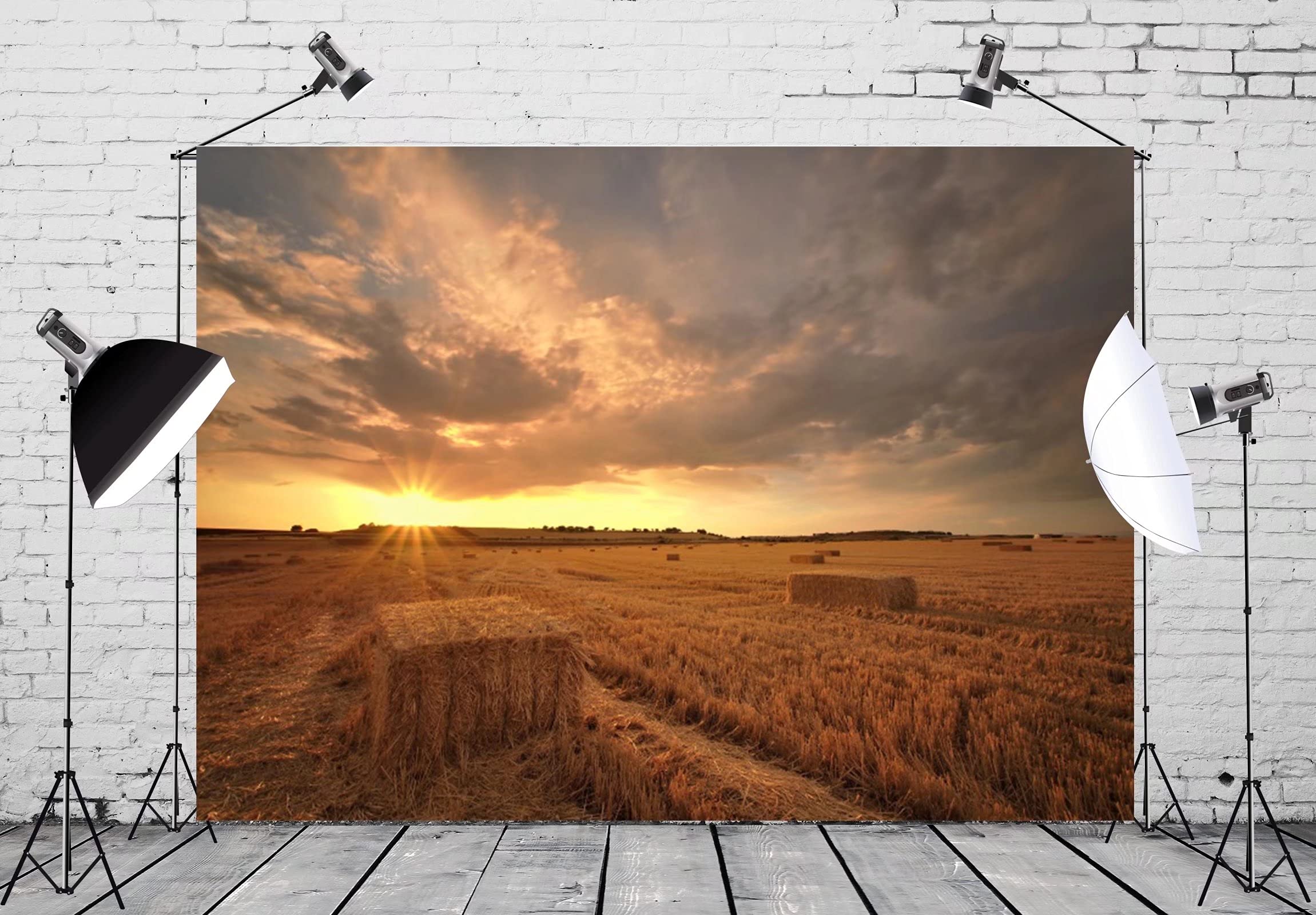 Wheat Color Background