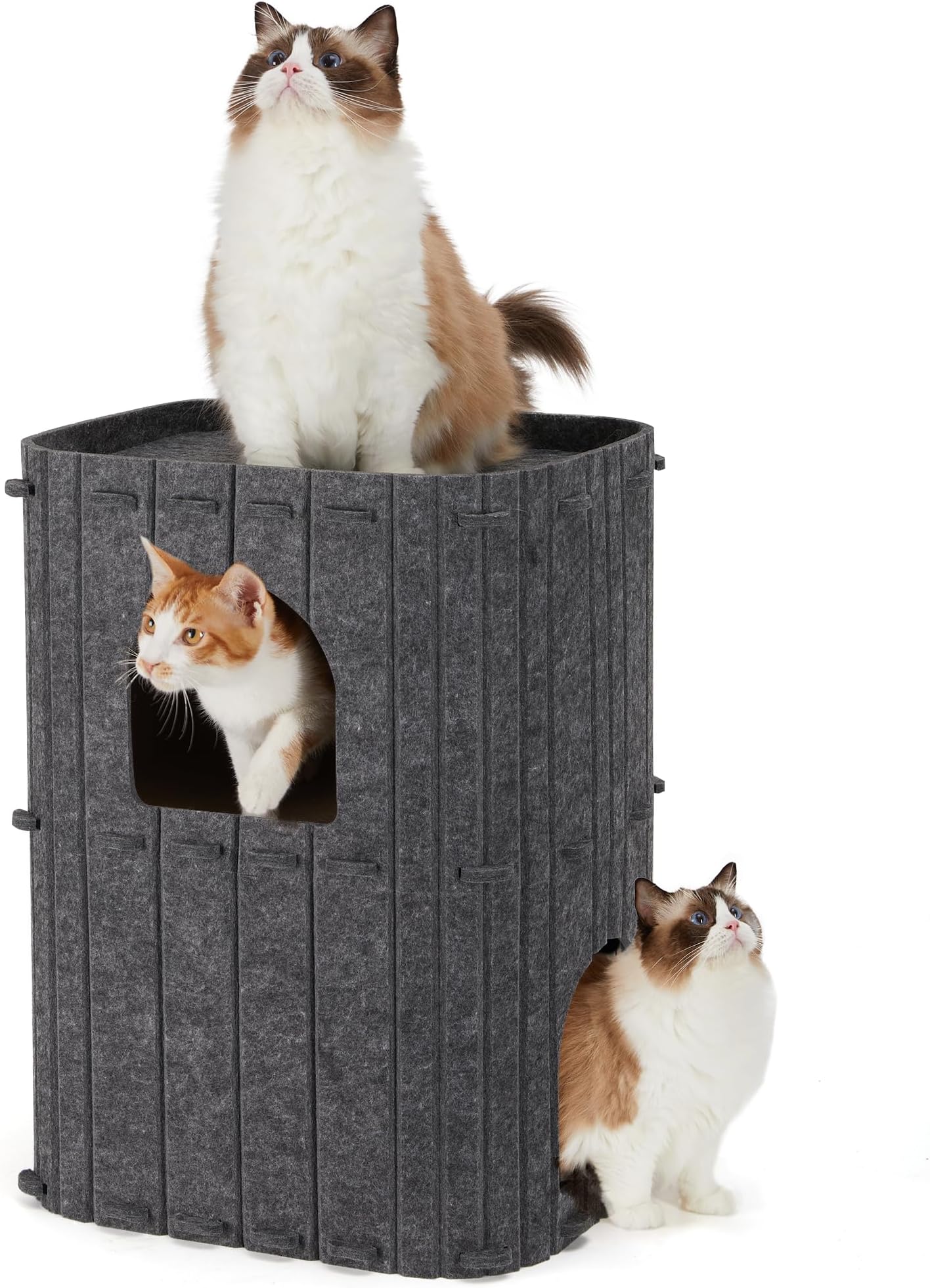 Amazon.com : Aitmexcn Cat House for Indoor Cats, Cozy Cat Bed Cave ...