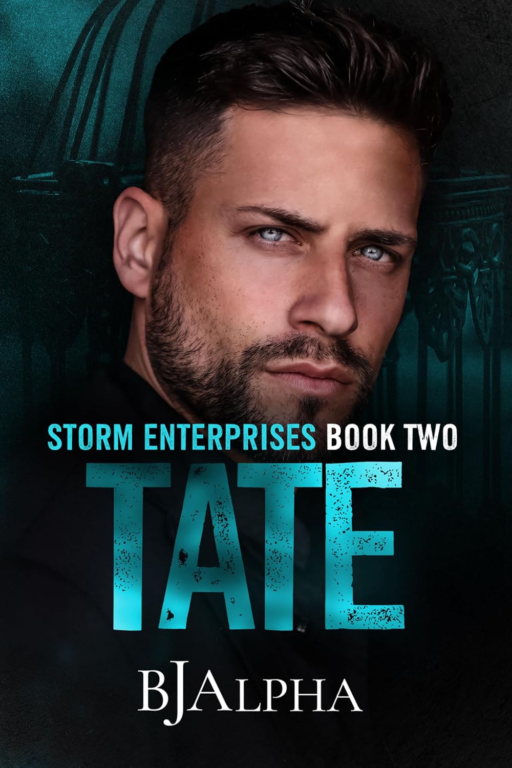 TATE: STORM ENTERPRISES BOOK 2 - Kindle edition by Alpha, BJ ...
