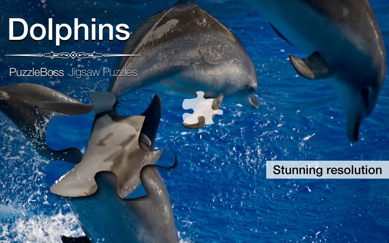 Dolphin Jigsaw Puzzles - App on Amazon Appstore