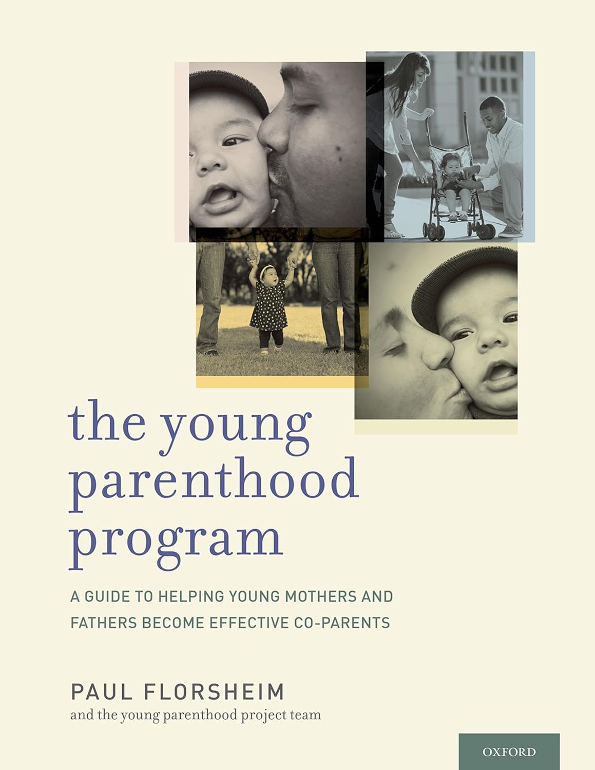 The Young Parenthood Program: A Guide to Helping Young Mothers and ...