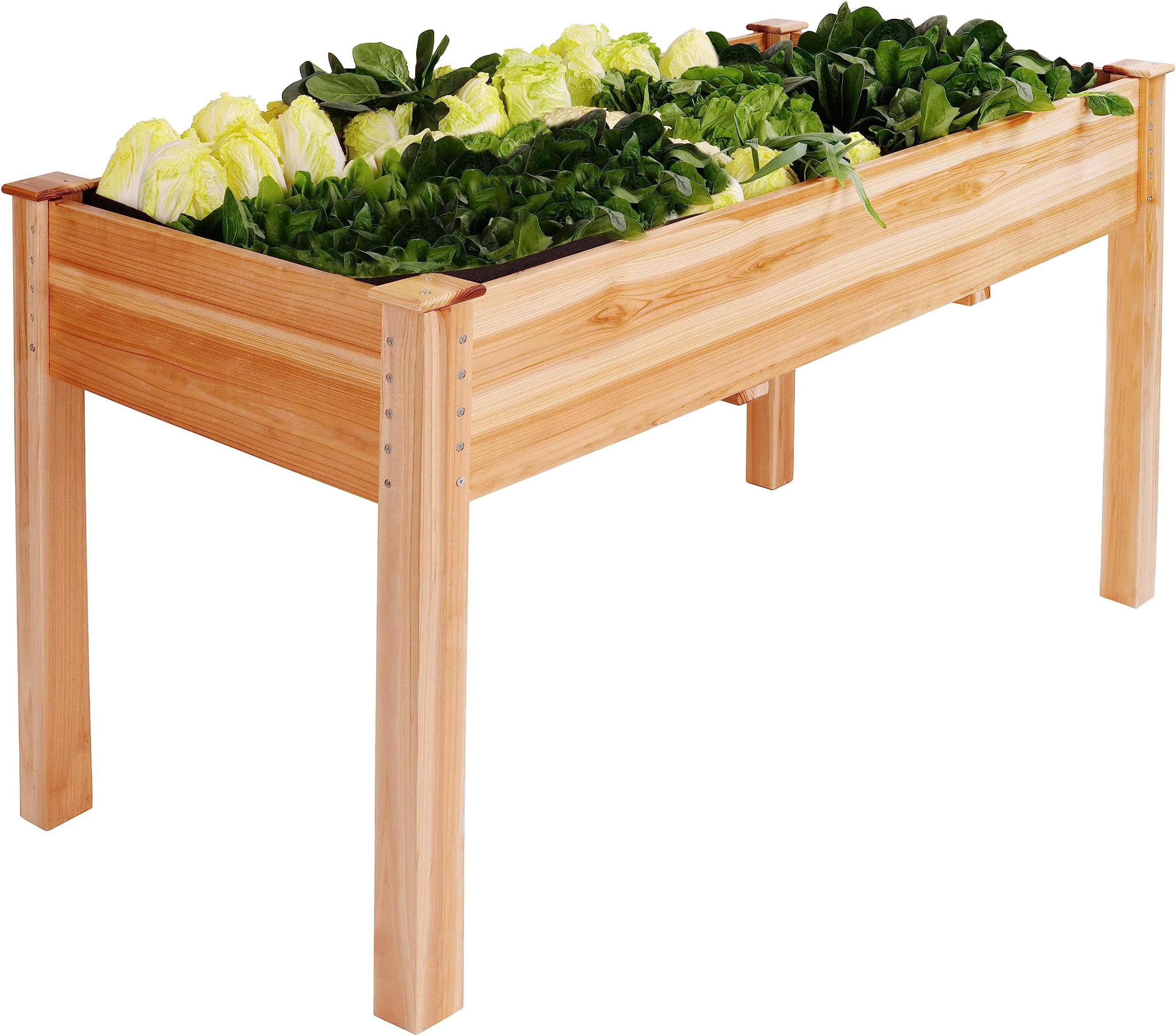 Amazon.com: Elevon 48x24x30in Raised Garden Bed, Elevated Wood Planter ...