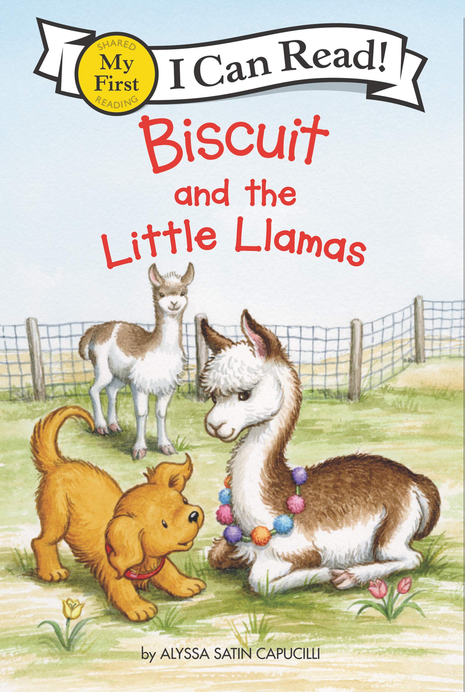 Amazon.com: Biscuit and the Little Llamas (My First I Can Read ...