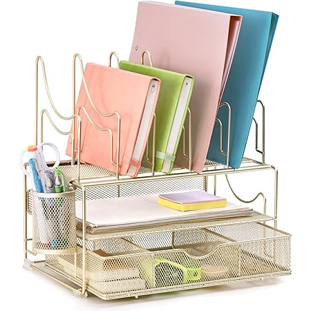 Amazon.com: ROCDEER Desk Organizers and Accessories - Double Tray and 5 ...