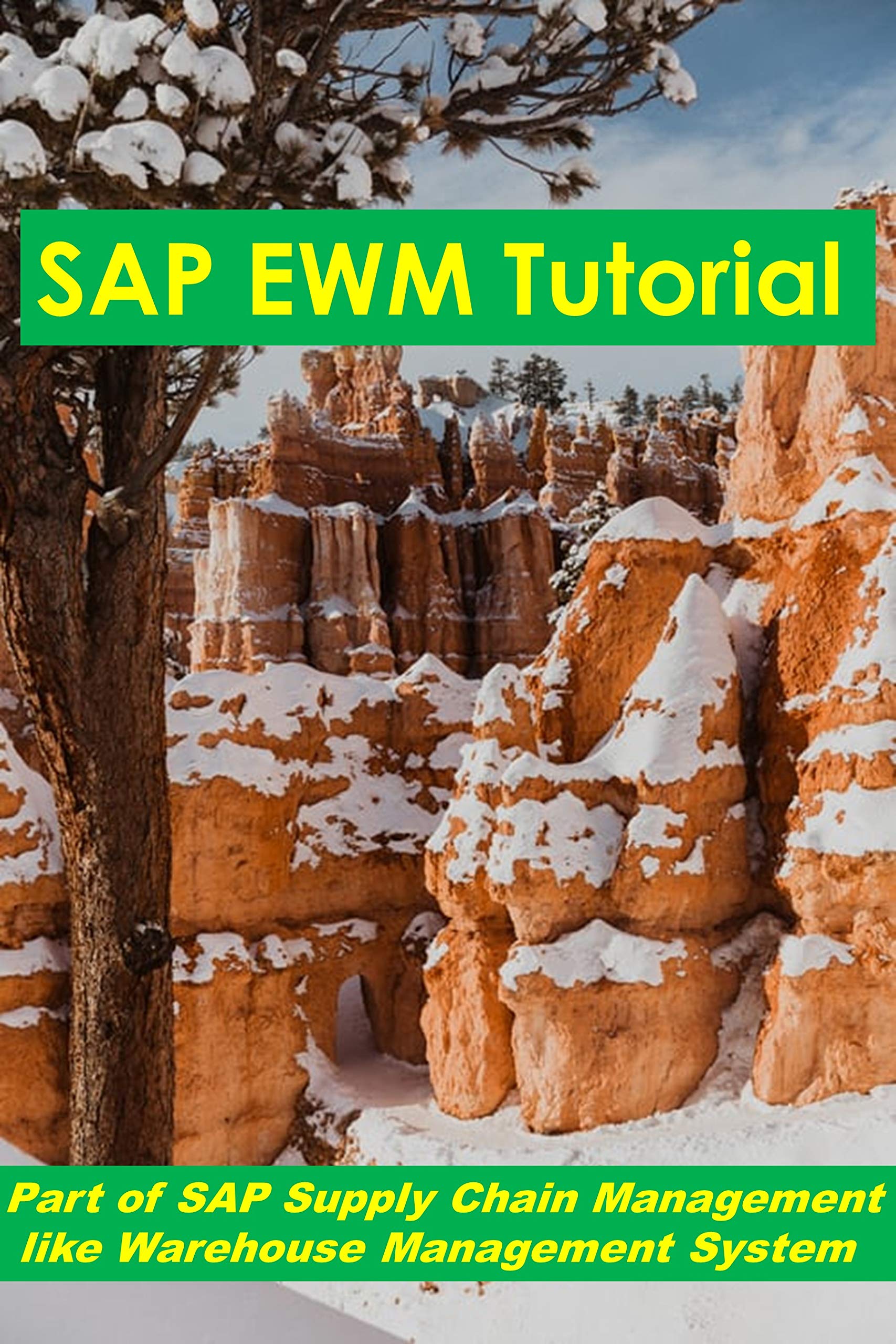 Buy SAP EWM Tutorial: Part of SAP Supply Chain Management like ...