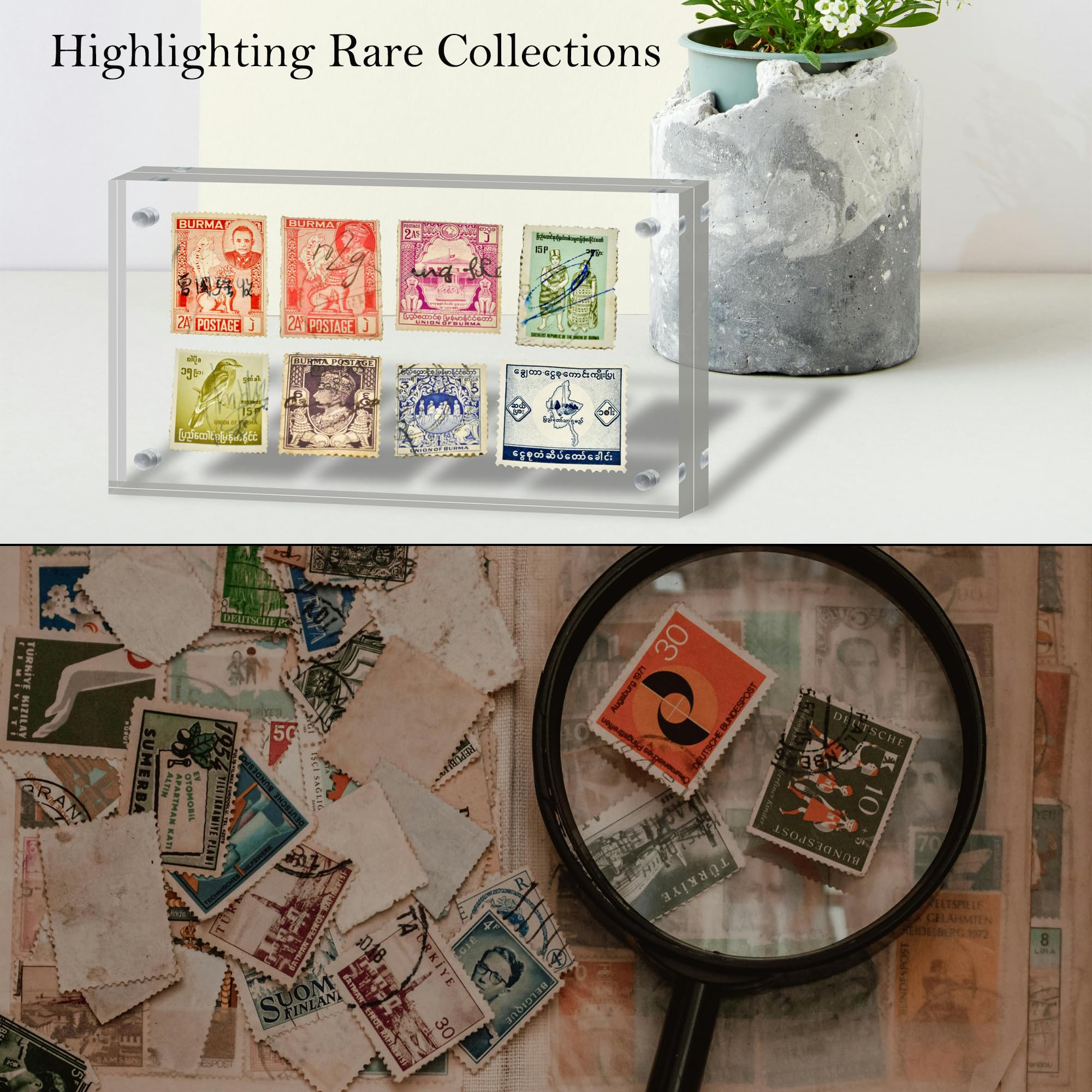 Snapklik.com : Dollar Bill Frame Display Acrylic Dollar Bill Holder ...