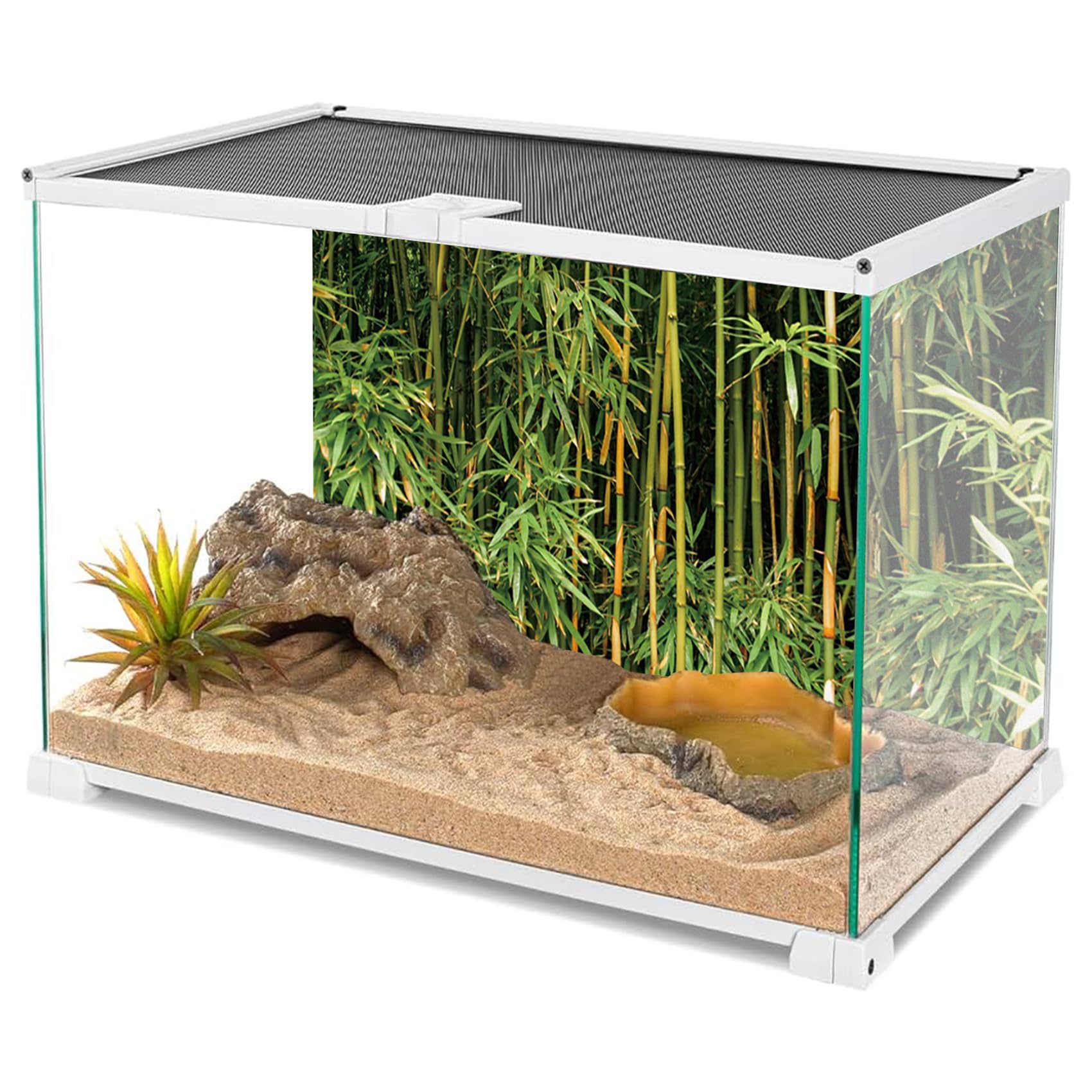 Snapklik.com : Reptile Terrarium Background 48x20 Inch Reptile Tank ...