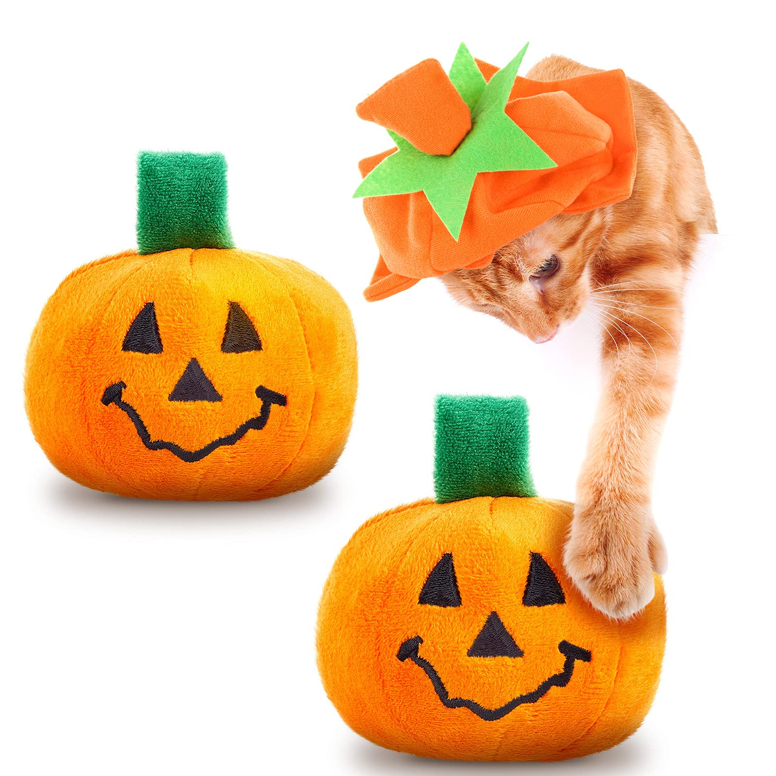 Halloween Grumpy Cat Pumpkin