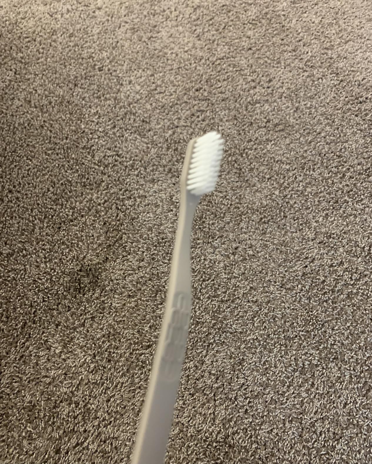 Amazon.com : DR.BRIGHT Toothbrushes Biodegradable Natural Eco-Friendly ...