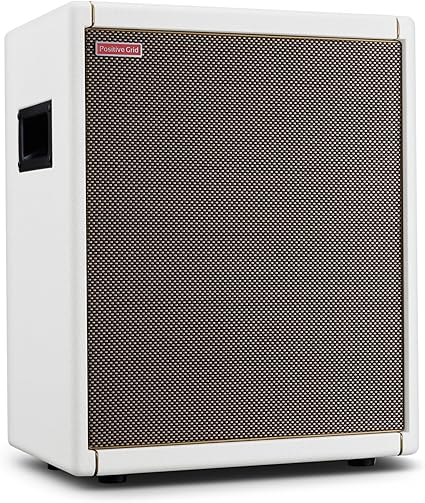 Amazon.com: Positive Grid Spark CAB Powered Guitar Amp Speaker Cabinet ...
