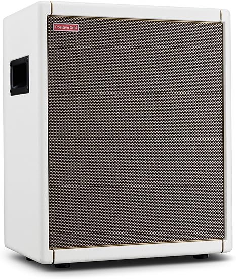 Amazon.com: Positive Grid Spark CAB Powered Guitar Amp Speaker Cabinet ...