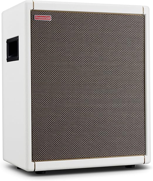 Amazon.com: Positive Grid Spark CAB Powered Guitar Amp Speaker Cabinet ...