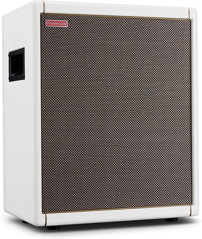 Amazon.com: Positive Grid Spark CAB Powered Guitar Amp Speaker Cabinet ...