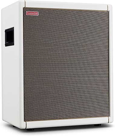 Amazon.com: Positive Grid Spark CAB Powered Guitar Amp Speaker Cabinet ...