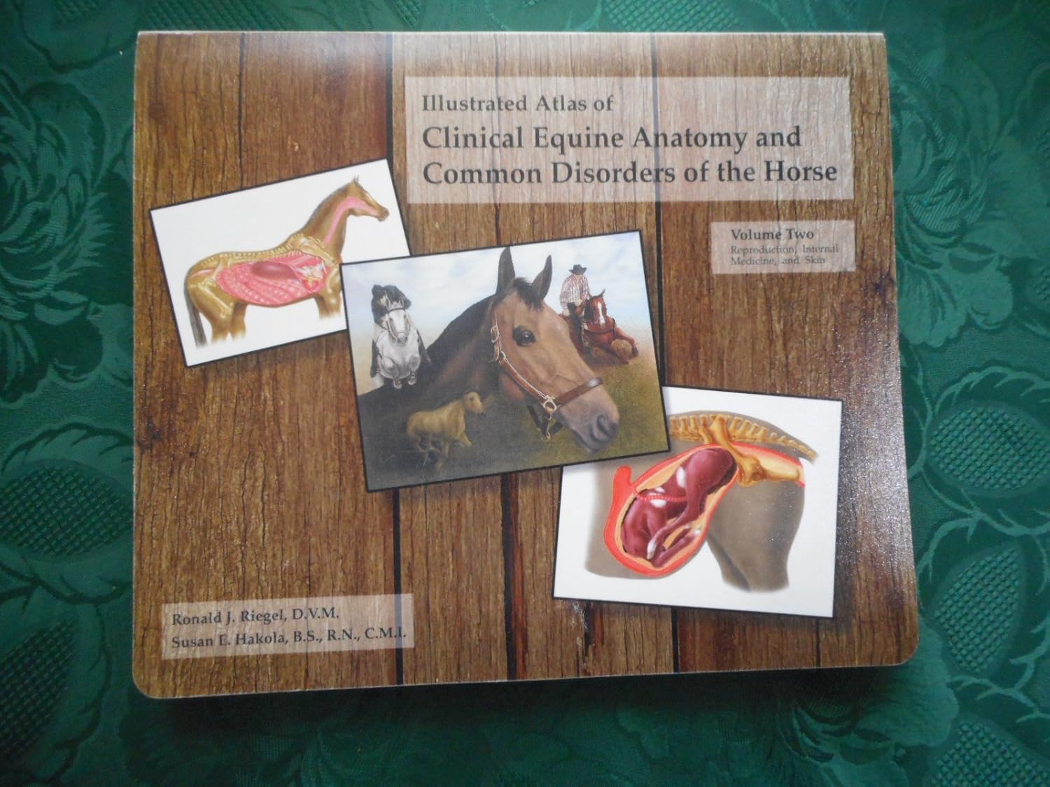 The Illustrated Atlas of Clinical Equine Anatomy and Common Disorders ...