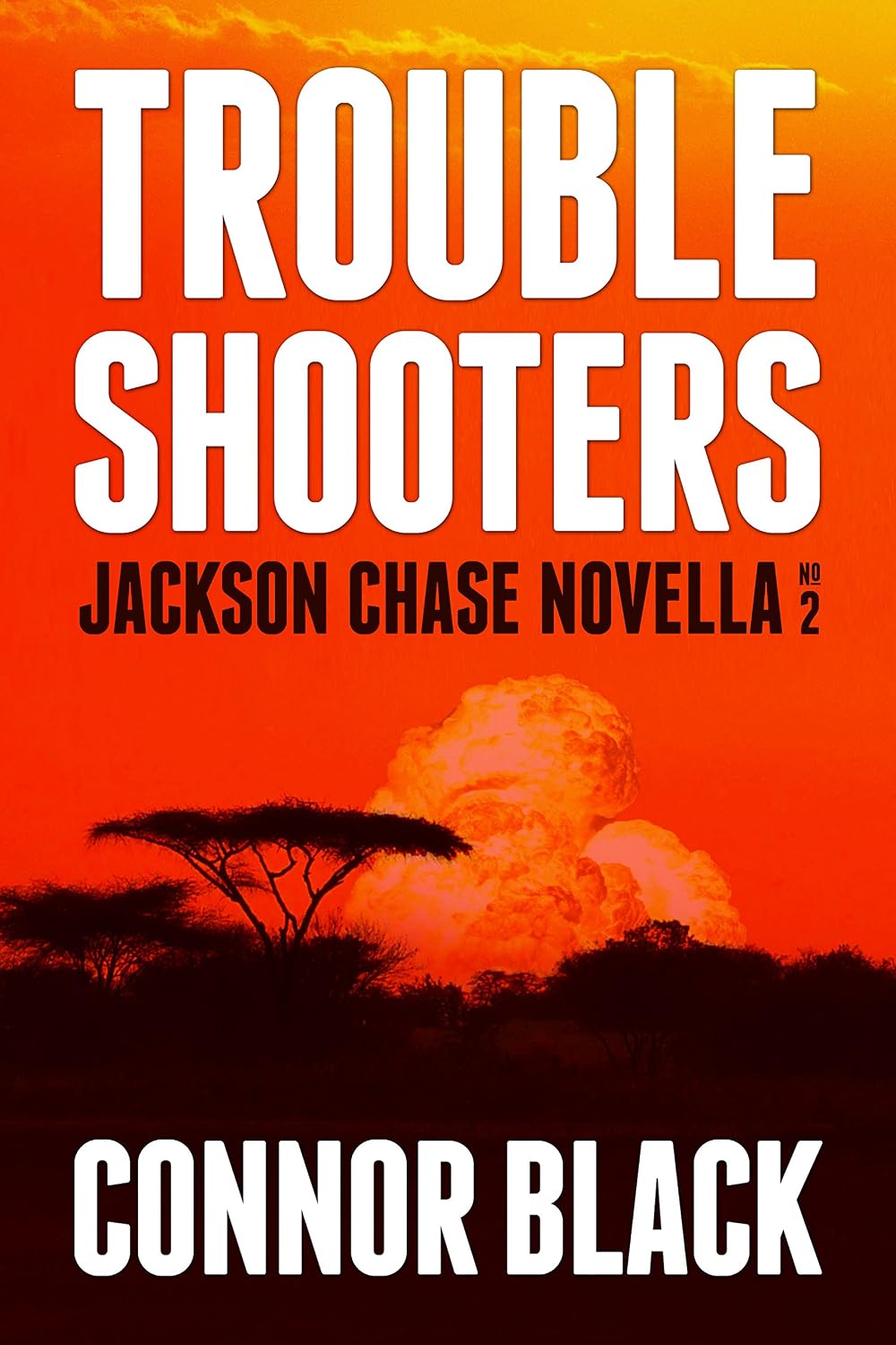 Amazon.com: Troubleshooters (Jackson Chase Novella Book 2) eBook ...
