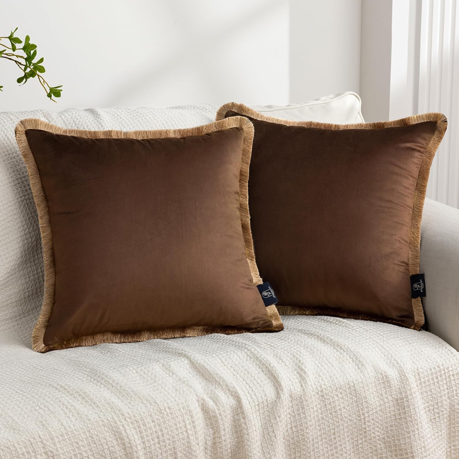 Amazon.com: Phantoscope Pack of 2 Velvet Decorative Throw Pillow Covers ...
