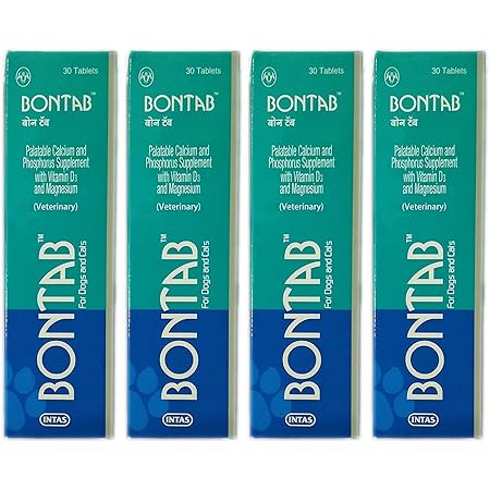 Buy BONTAB Intas (30 Tabs) - Pack of 4 Online at Low Prices in India ...