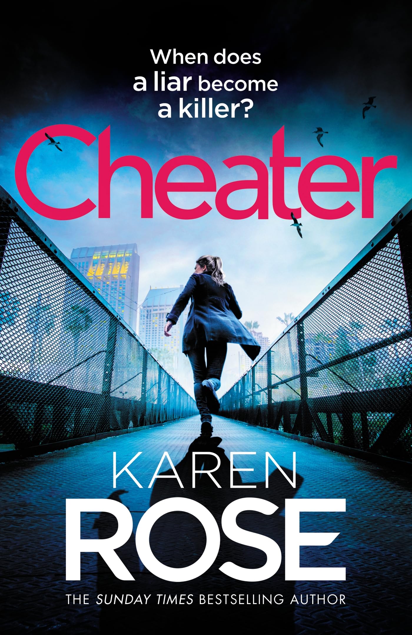 Cheater: the gripping new novel from the Sunday Times bestselling ...