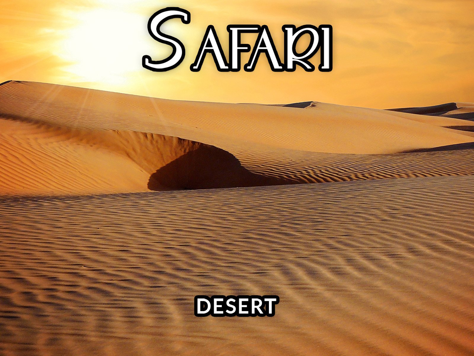 Watch Safari | Prime Video