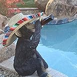 Amazon.com: Windy City Novelties — 22” Sombrero Hat for Adults ...